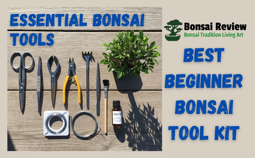 Best Beginner Bonsai Tool Kit | Essential Bonsai Tools & Kit
