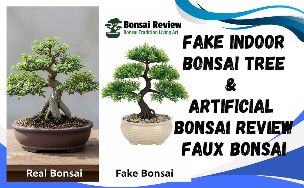 Fake Indoor Bonsai Tree: Easy, No-Care Green Home or Office.