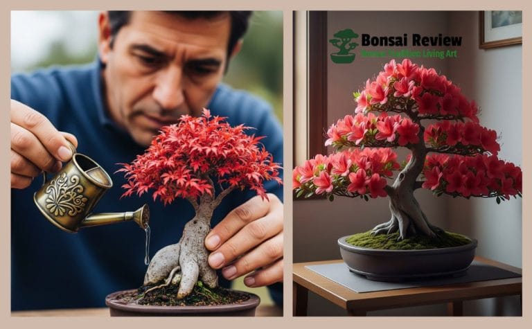 Red Bonsai Tree Meaning Love: Symbol of Love Passion & Care.