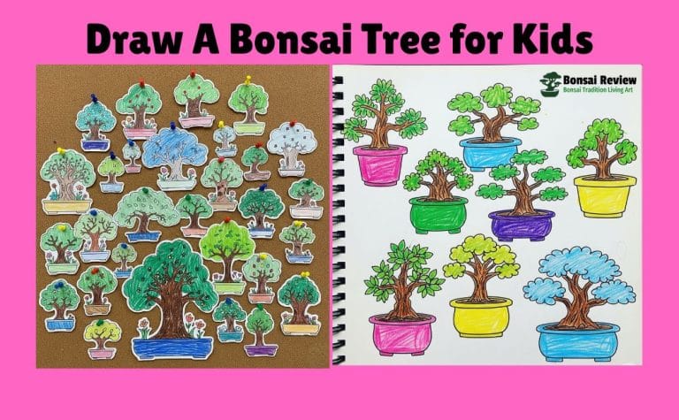 How to Draw A Bonsai Tree for Kids: Easy Step-by-Step Fun!