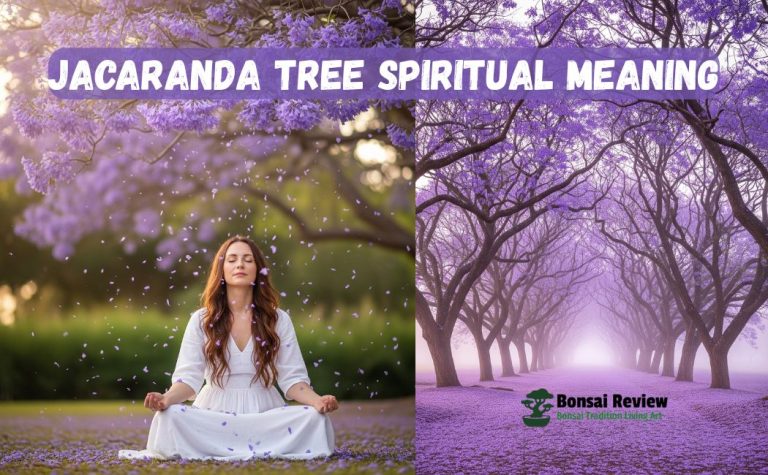 Jacaranda Tree Spiritual Meaning: Wisdom, Luck & Healing