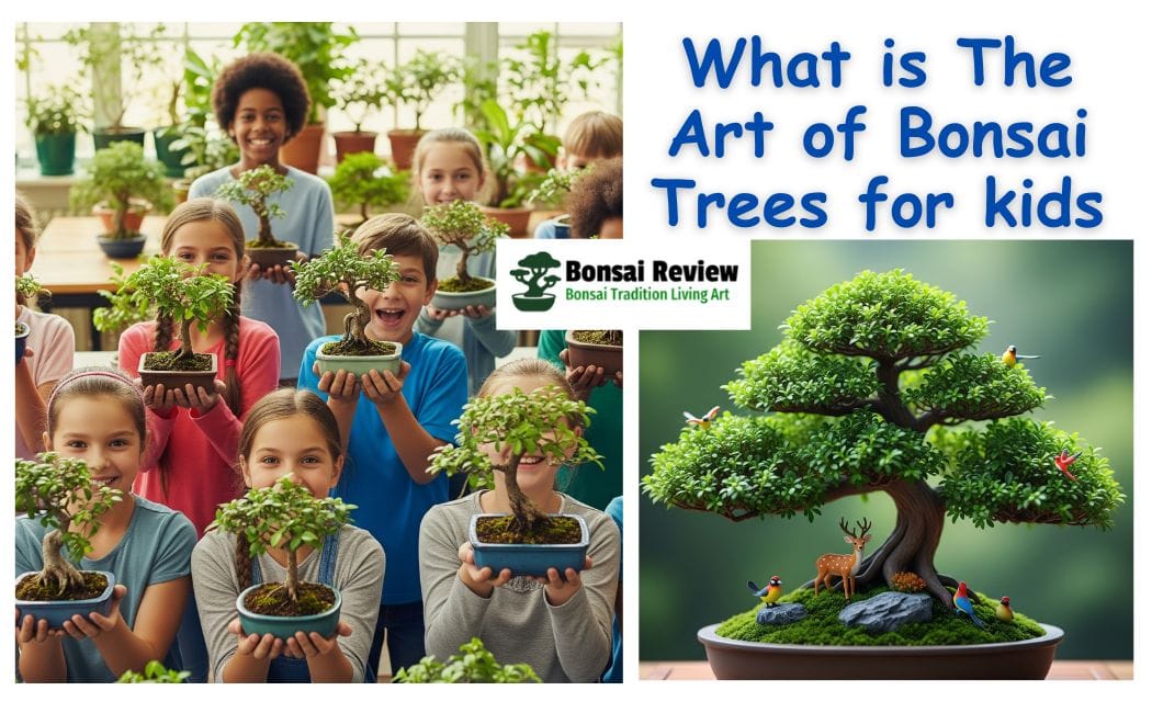What Is the Art of Bonsai Trees for Kids? Beginner Guide