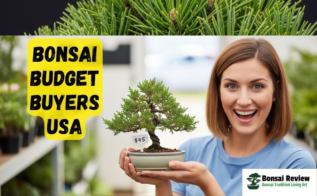 Bonsai Budget Buyers USA: Top Picks Under $50 for Beginners