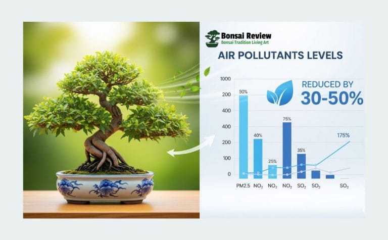 Bonsai Trees Health Benefits: Clean Air, Calm Mind a Happier