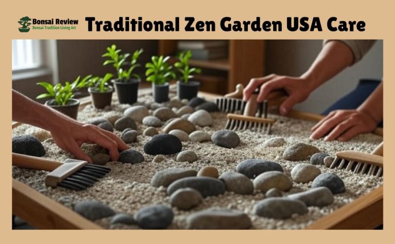 Zen Garden USA: Best Kits, DIY home Idea for Peaceful Spaces