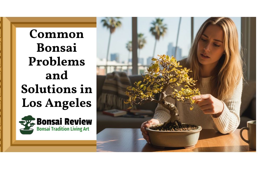 Common Bonsai Problems and Solutions in Los Angeles, US: Expert Tips ...