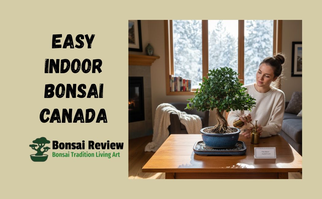 Easy Indoor Bonsai Canada: Best Beginner-Friendly Trees for Canadian Homes