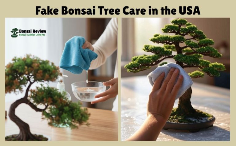 Best Fake Bonsai Tree Care in the USA: Exclusive Maintenance Tips