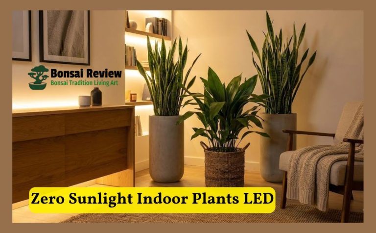 Zero Sunlight Indoor Plants: Best Low-Light Plants LED Rooms