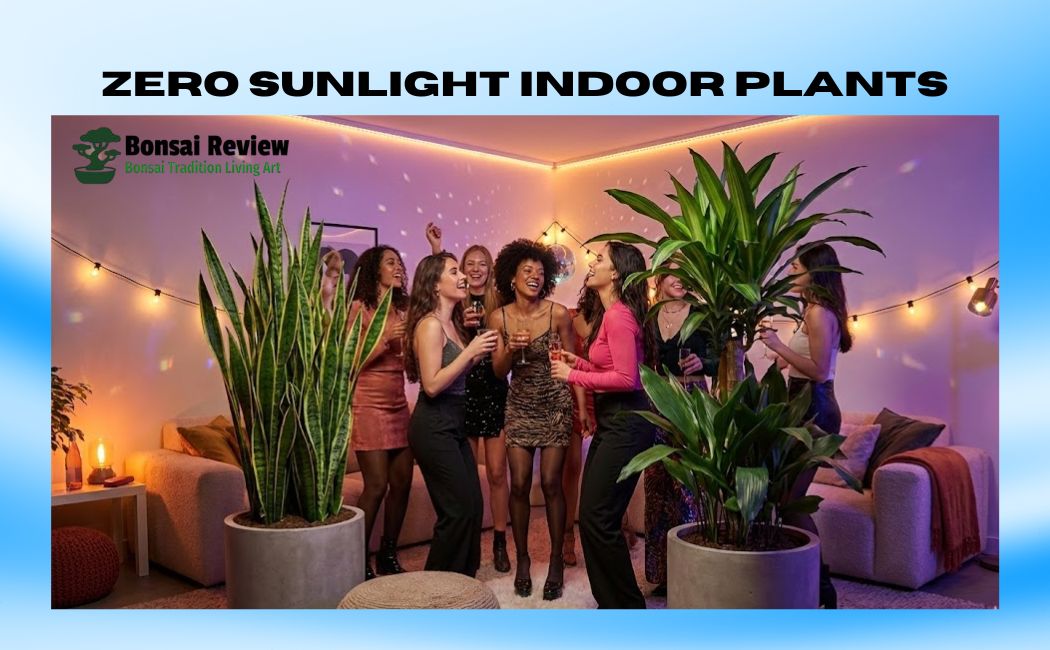 Zero Sunlight Indoor Plants: Best Low-Light Plants LED Rooms