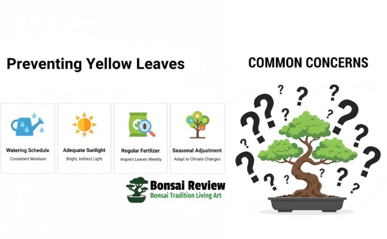 Bonsai Tree Yellow Leaves: Causes, Fixes & Recovery Guide